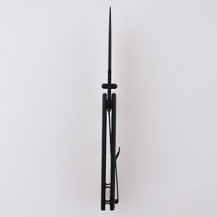 Shieldon bard Ichthyolite in-house R&d design 2307A - Shieldon