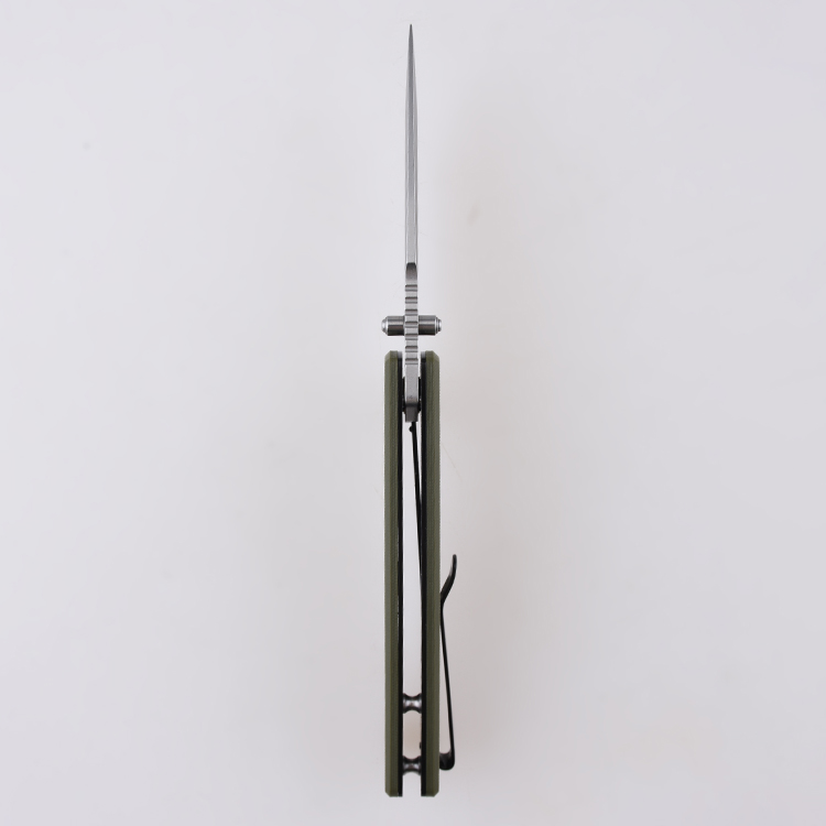 Shieldon bard Ichthyolite in-house R&d design 2307B - Shieldon