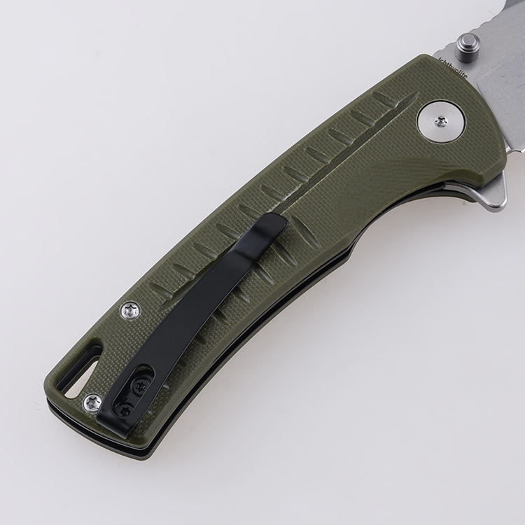 Shieldon bard Ichthyolite in-house R&d design 2307B - Shieldon