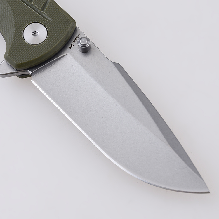 Shieldon bard Ichthyolite in-house R&d design 2307B - Shieldon