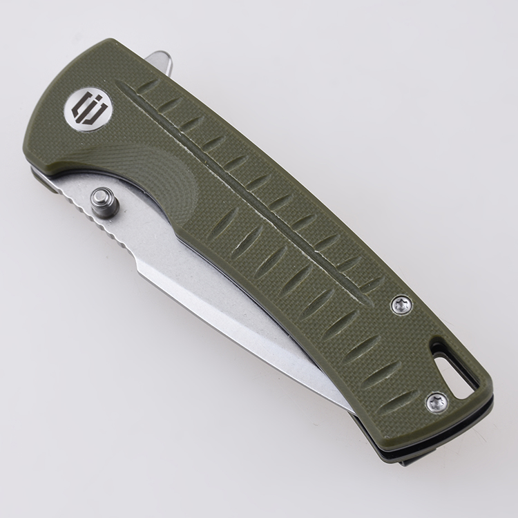 Shieldon bard Ichthyolite in-house R&d design 2307B - Shieldon