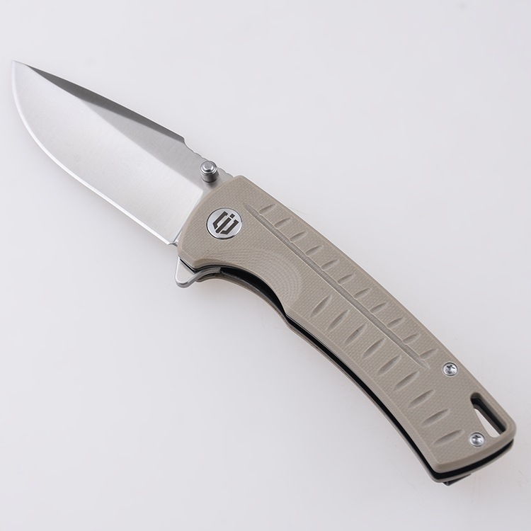 Shieldon bard Ichthyolite in-house R&d design 2307C - Shieldon