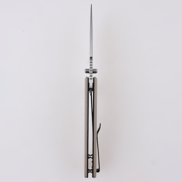 Shieldon bard Ichthyolite in-house R&d design 2307C - Shieldon