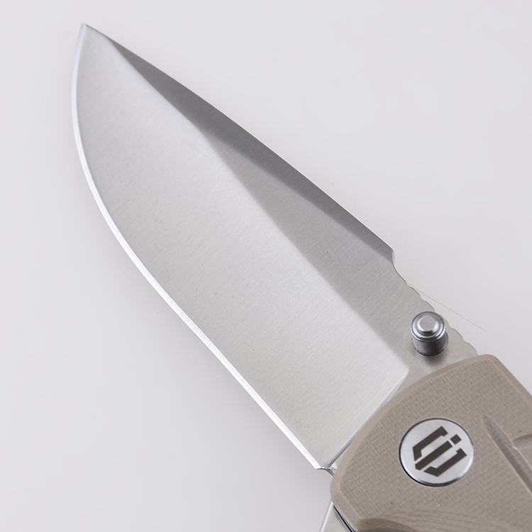 Shieldon bard Ichthyolite in-house R&d design 2307C - Shieldon